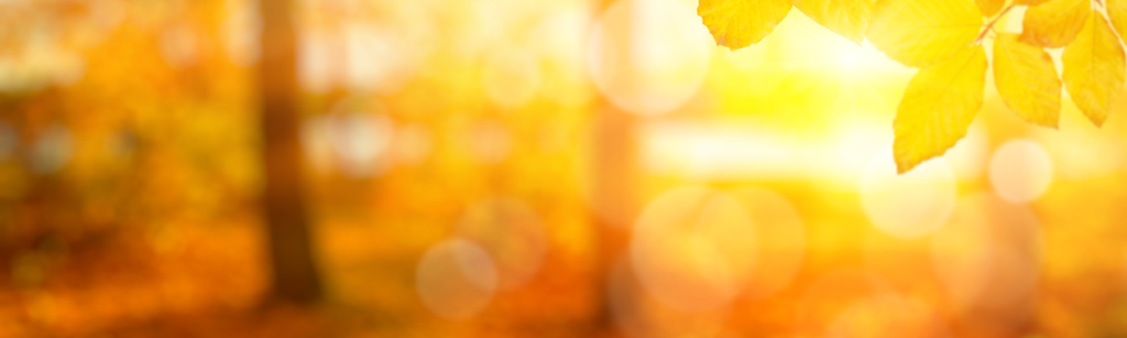 October, 2019 - Discovery Eye Foundation