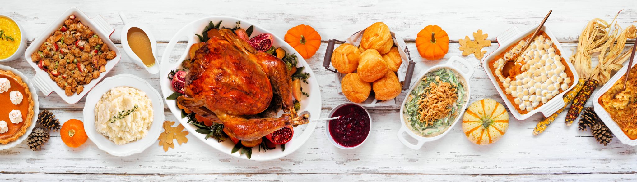 Thanksgiving Dinner for Your EYES! - Discovery Eye Foundation