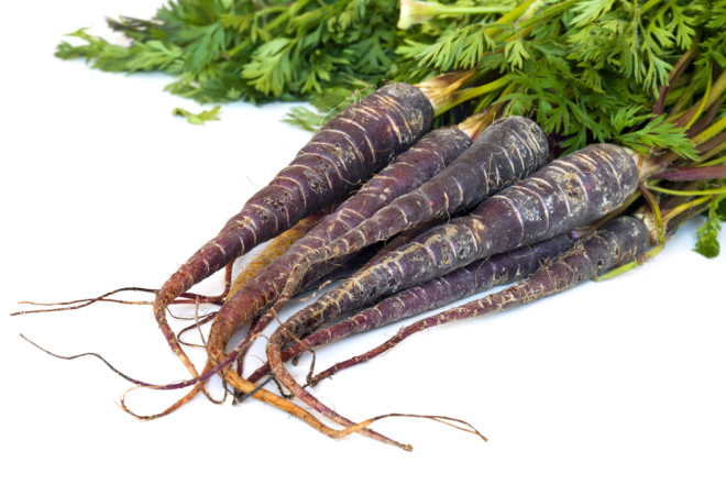 carrots - Discovery Eye Foundation